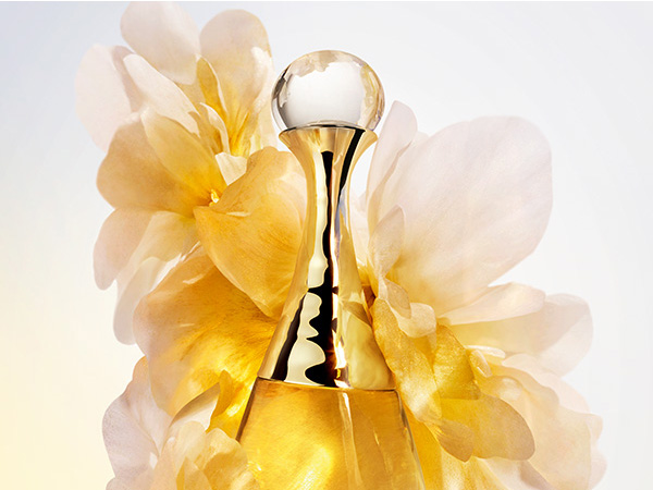 Dior J'adore L'or | The Perfume Shop